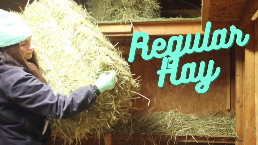 Compressed Hay or Regular Hay? - Just One More Story Farm